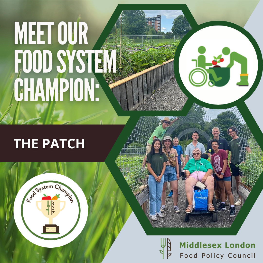 Sowing Seeds of Change: Meet Our Food System Champion, the PATCH ...